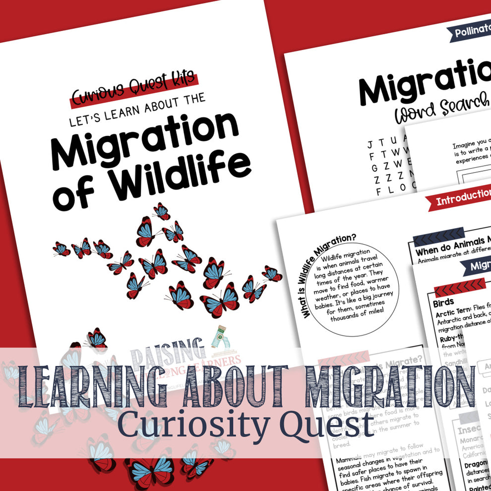 Curiosity Quest | Migration of Wildlife – Raising Lifelong Learners