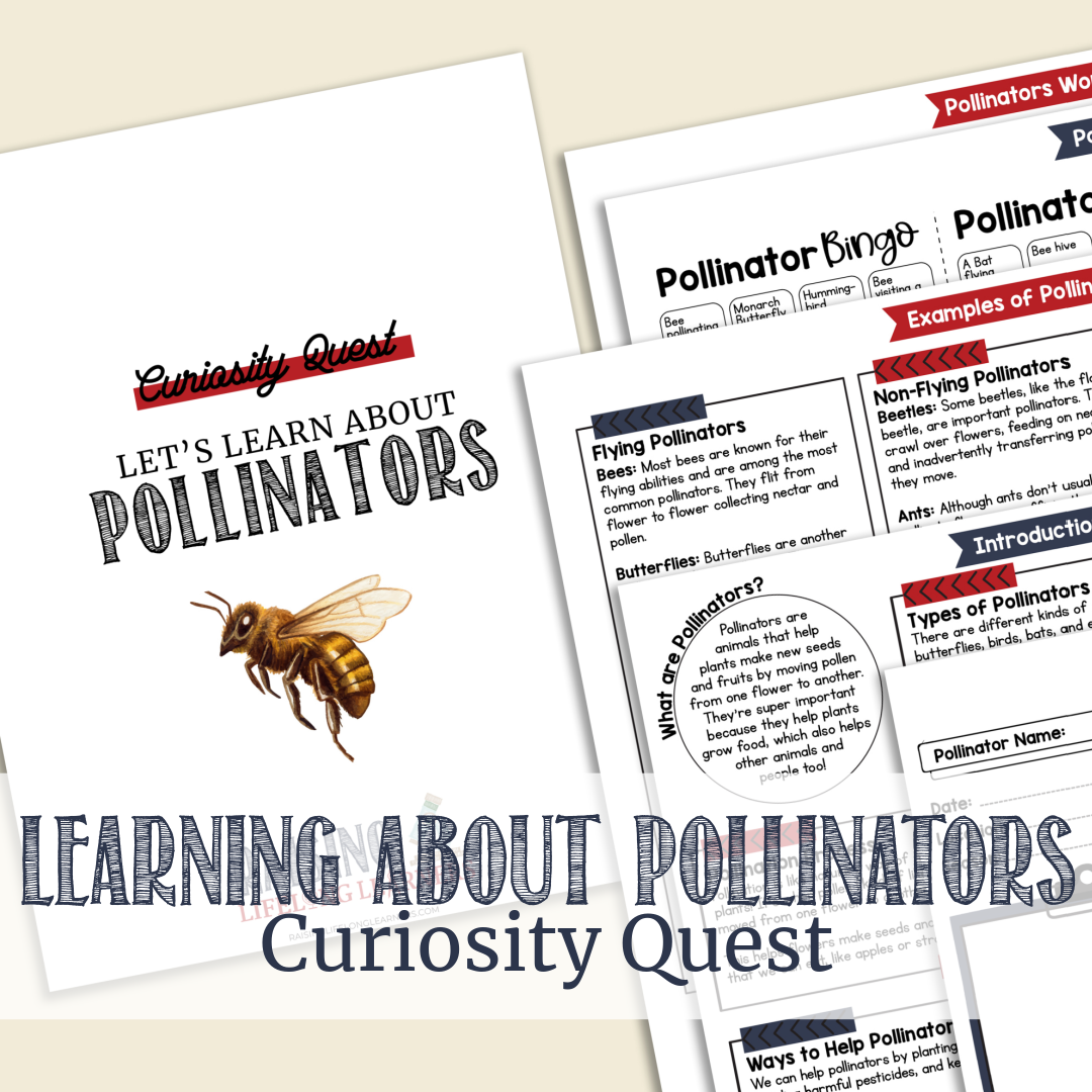 Curiosity Quest | Pollinators – Raising Lifelong Learners